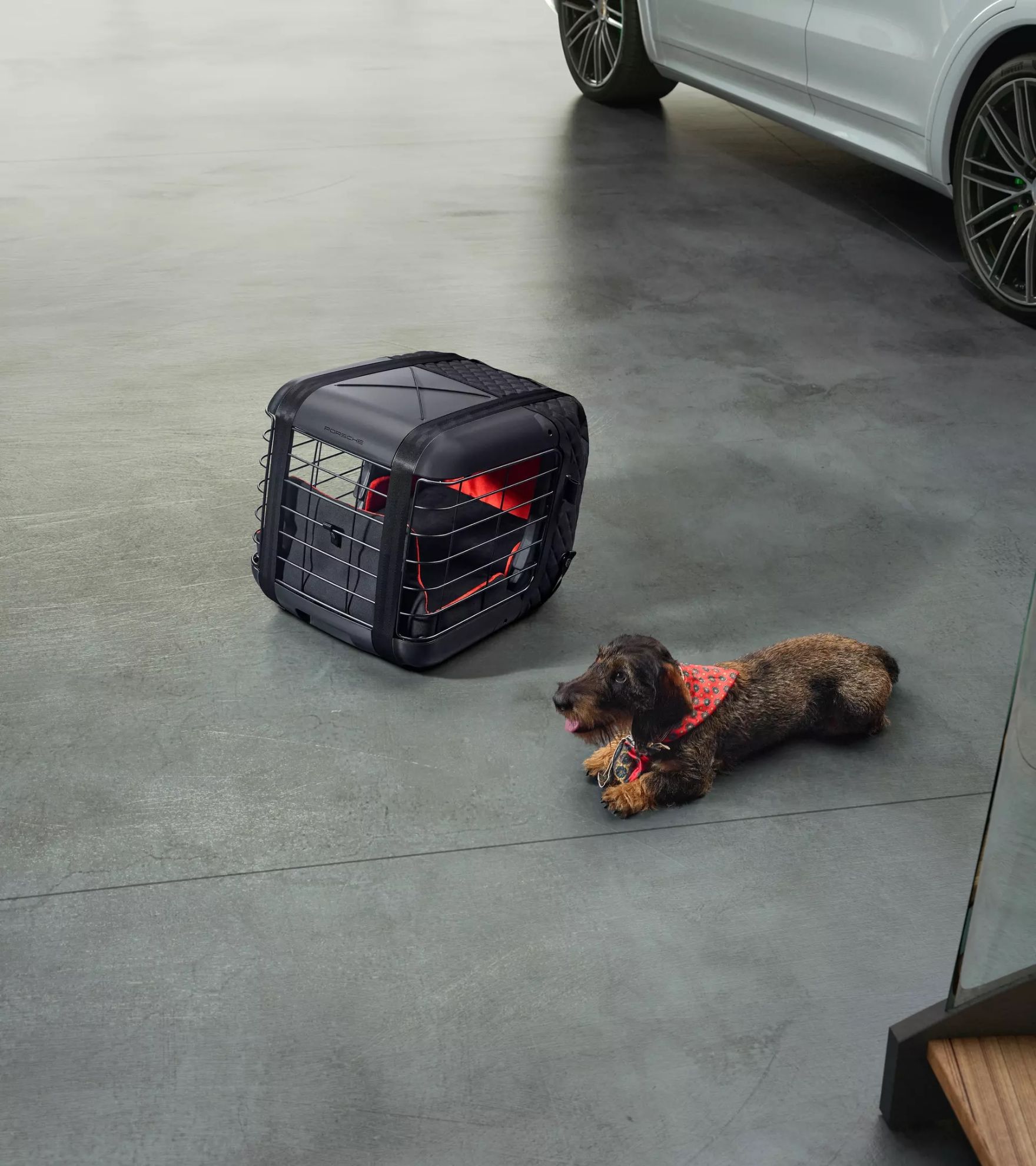 Dog Transport Box with ISOFIX Latch. Porsche Doncaster Online Shop