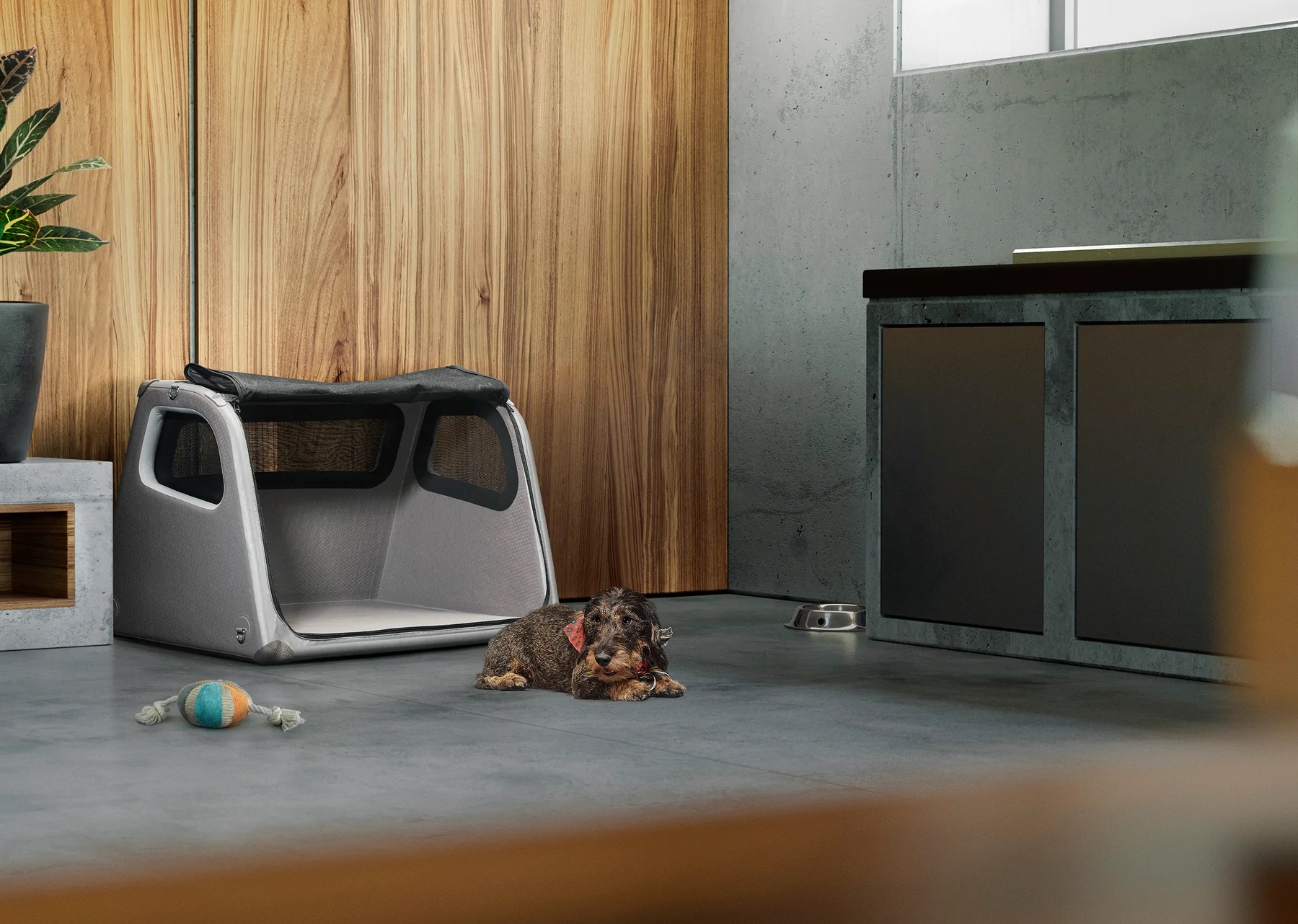 Dog Inflatable Box for Cargo - Cayenne & Macan. Porsche Doncaster ...