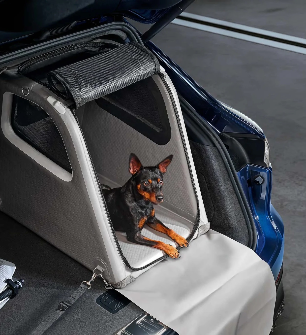 Dog Inflatable Box for Cargo - Cayenne & Macan. Porsche Doncaster ...